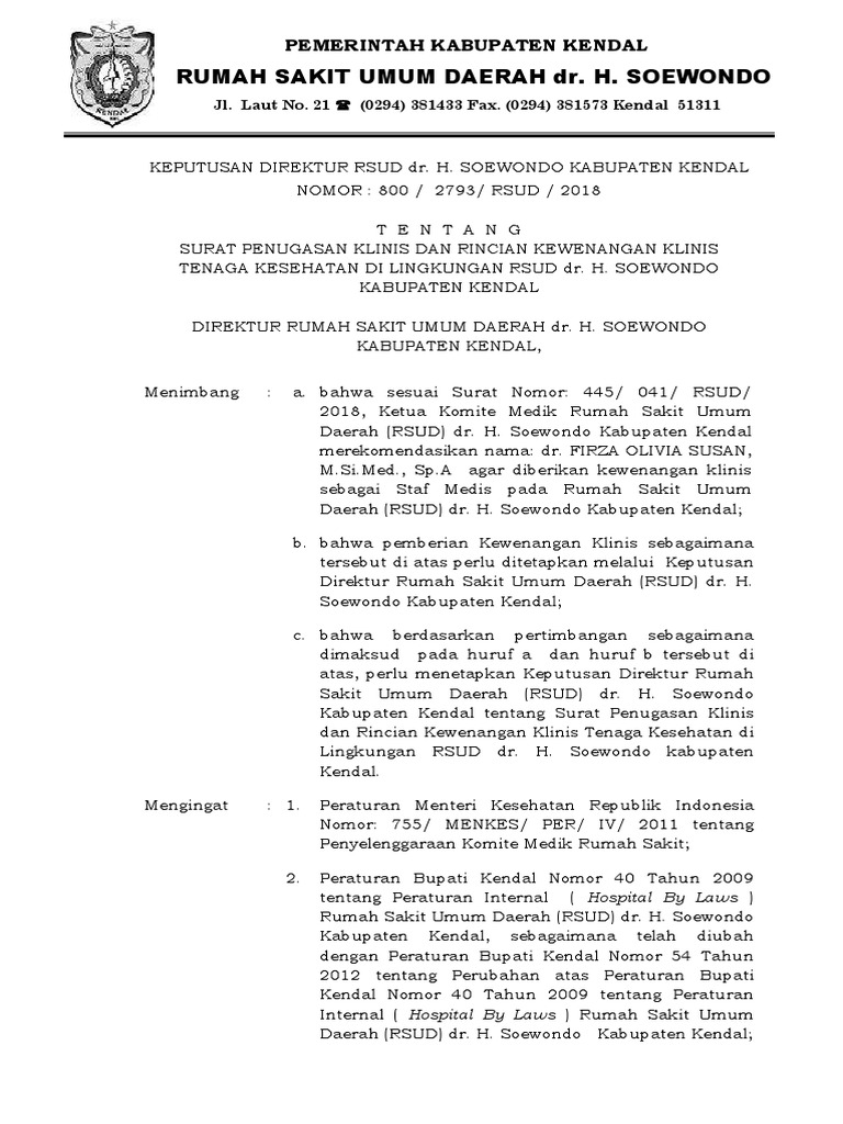 06.c. Contoh SPK RKK Dokter | PDF