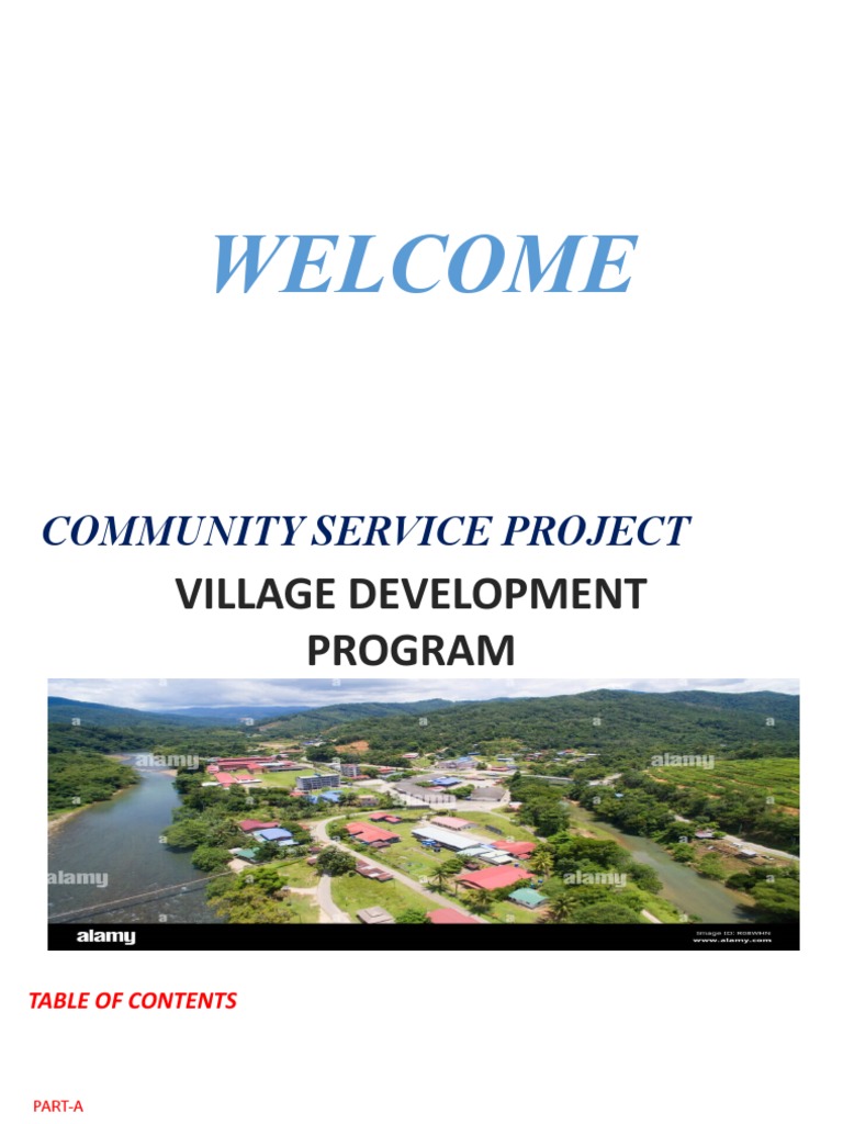 Community Service Project | PDF | Sanitation