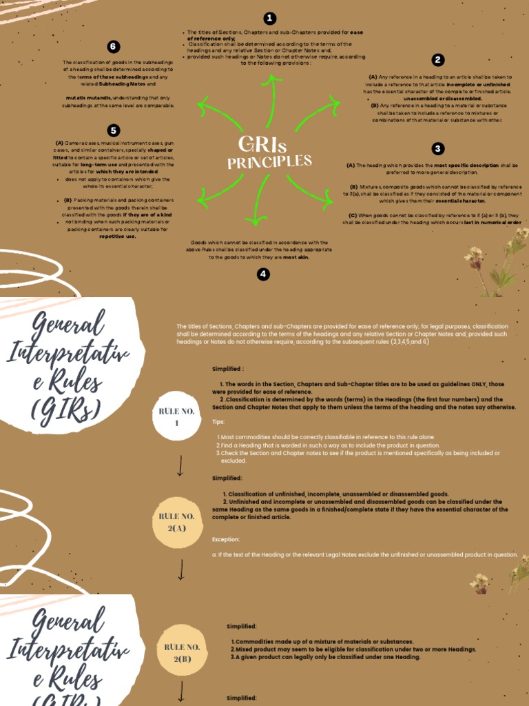 General Interpretative Rules GIRs | PDF | Justice | Crime & Violence