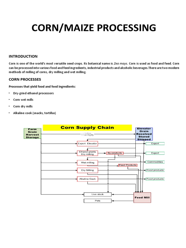 CORN Processing Write-up | PDF | Maize | Food And Drink