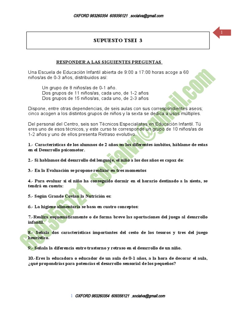 SUPUESTO TSEI 3 Enunciado | PDF