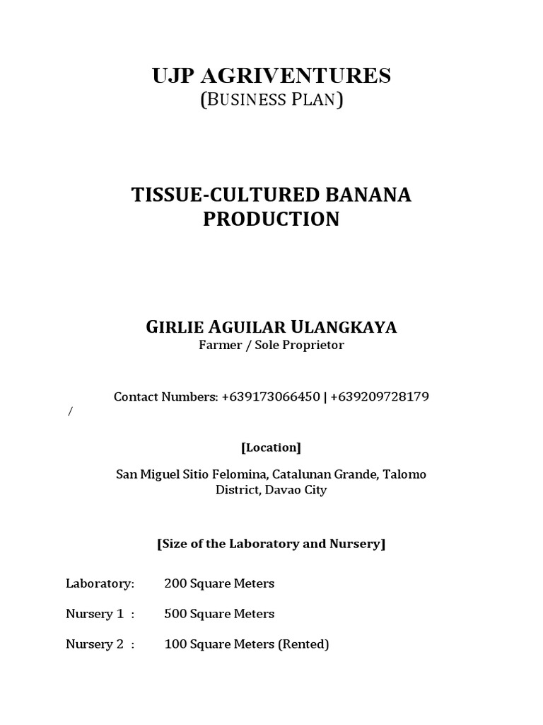 Busines Plan - UJP Agriventures (Girlie Ulangkaya - Loan Program) | PDF ...