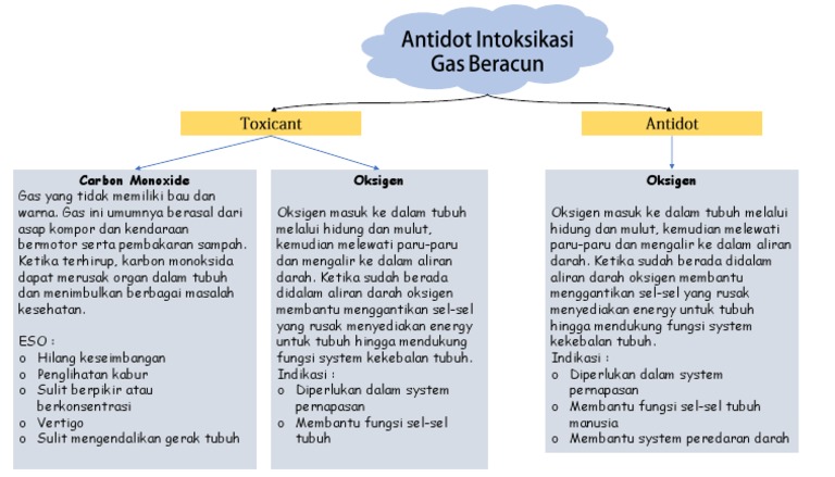 Mind Map Antidot Intoksikasi Gas Beracun - Melinda Wulan | PDF | Kesehatan Holistik