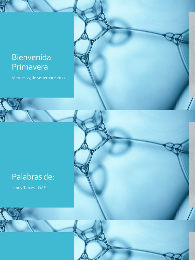 Programa Bienvenida Primavera | PDF