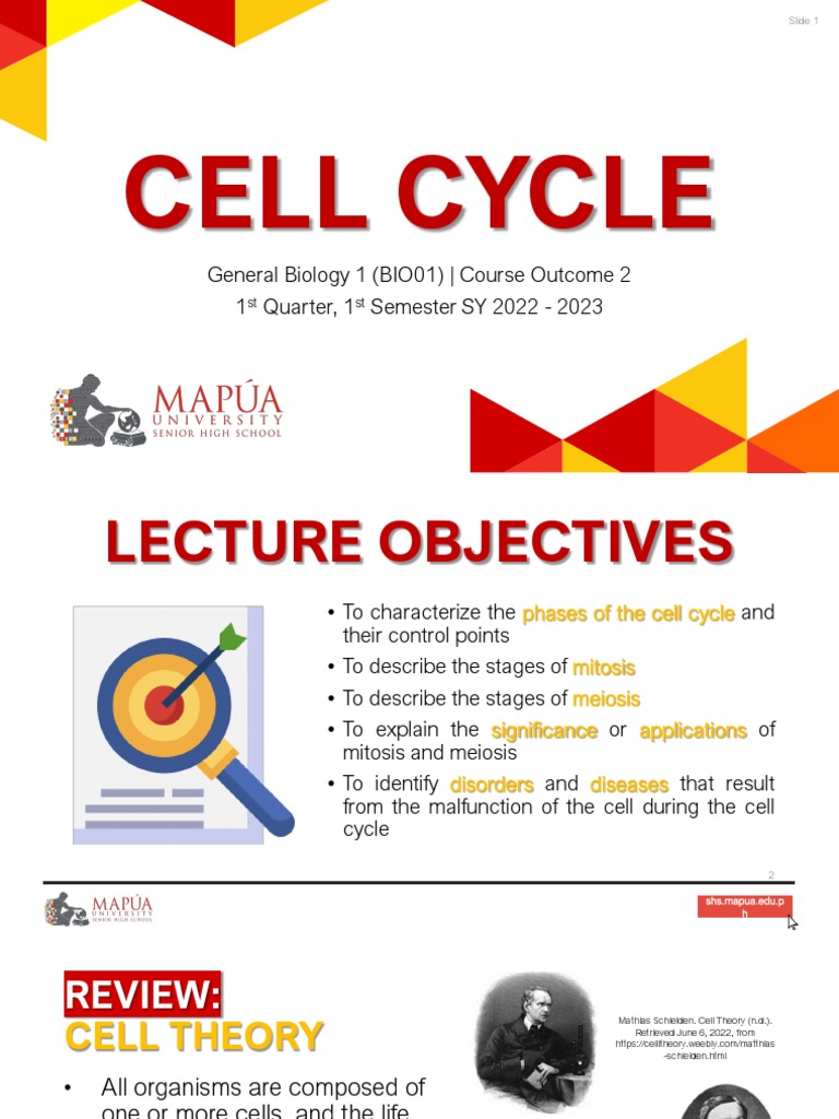 Cell Cycle Overview for BIO01 | PDF | Meiosis | Mitosis