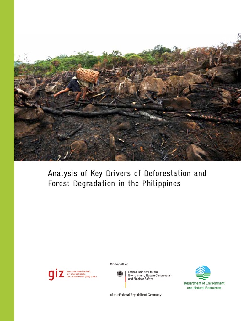 Analysis Of Key Drivers Of Deforestation And Forest Degradation In The