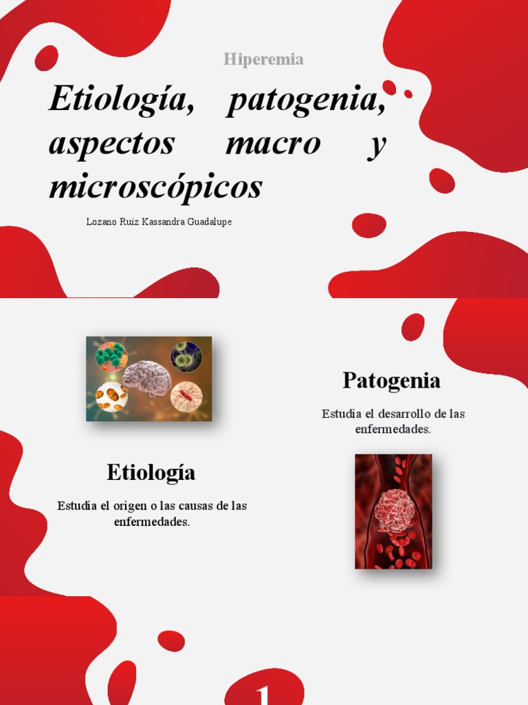 Hiperemia: Etiología y Patogenia | PDF | Hígado | Bazo