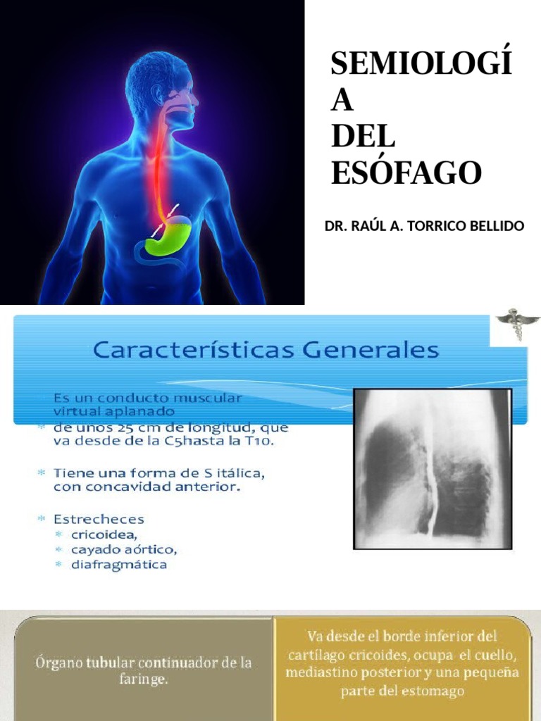 Semiologia Del Esófago | PDF | Ciencia y matemáticas