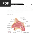 Respiratory System Study Guide | PDF | Exhalation | Respiratory Tract