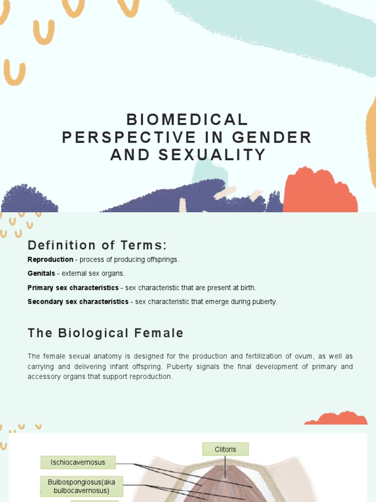 Biomedical Perspective in Gender and Sexuality - Report | PDF | Menstrual Cycle | Ovary