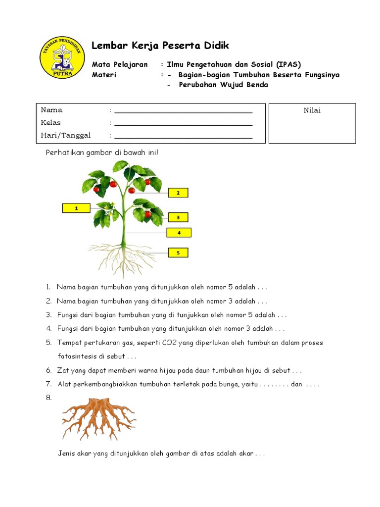 Soal Latihan IPAS | PDF