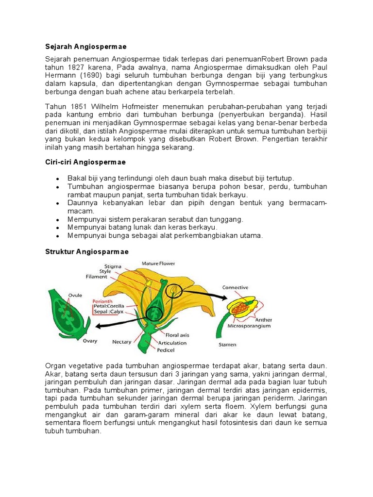 Ciri dan Struktur Angiospermae | PDF | Griya & Taman | Sains & Matematika
