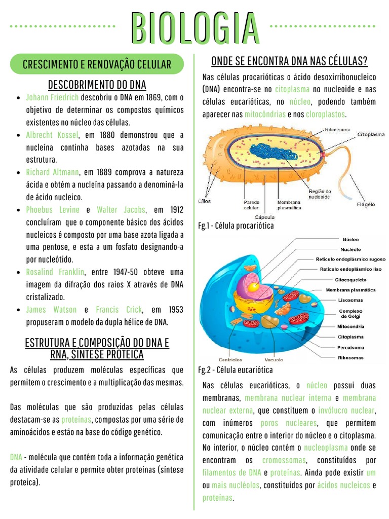 Biologia - Resumos | PDF | Mitose | RNA