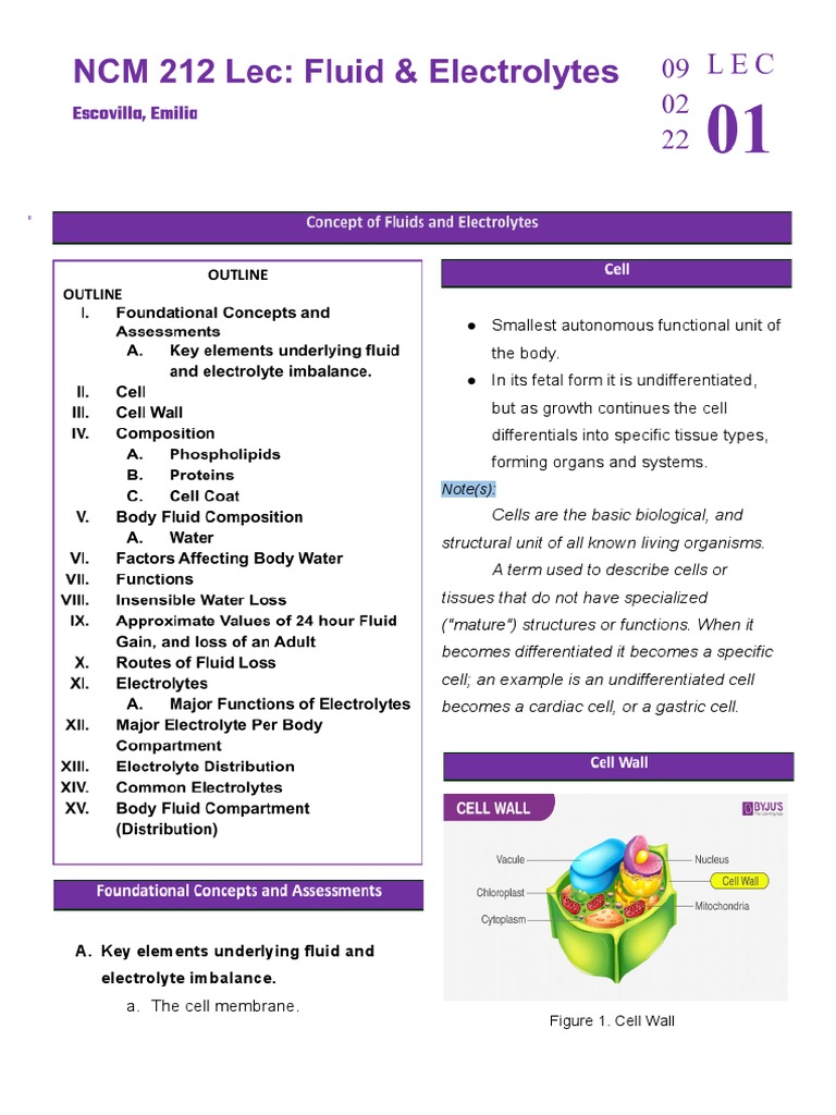 01 - Fluid & Electrolytes | PDF | Electrolyte | Cell Membrane