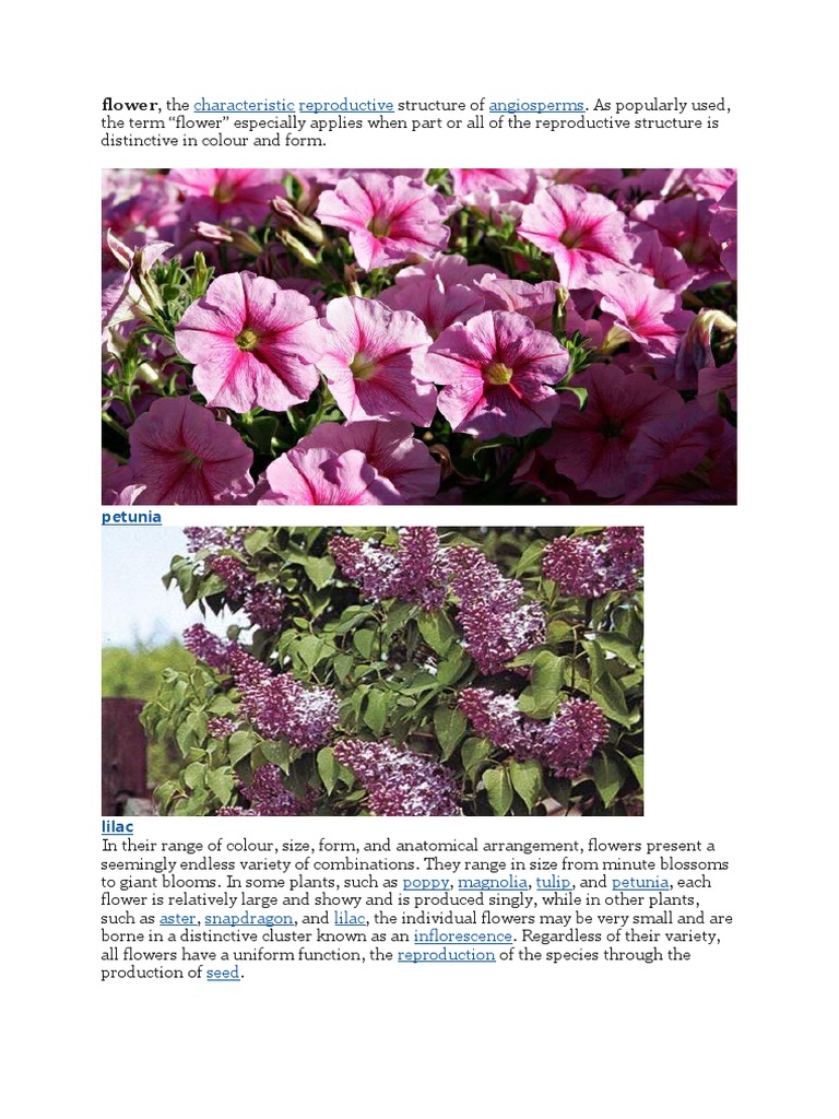 Flower | PDF | Flowers | Pollination