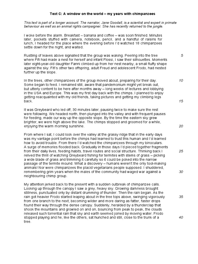 WRITER'S EFFECTS EXERCISE (1) | PDF