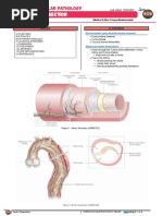 Warfarin Mechanism of Action, Indications Atf | PDF | Coagulation ...