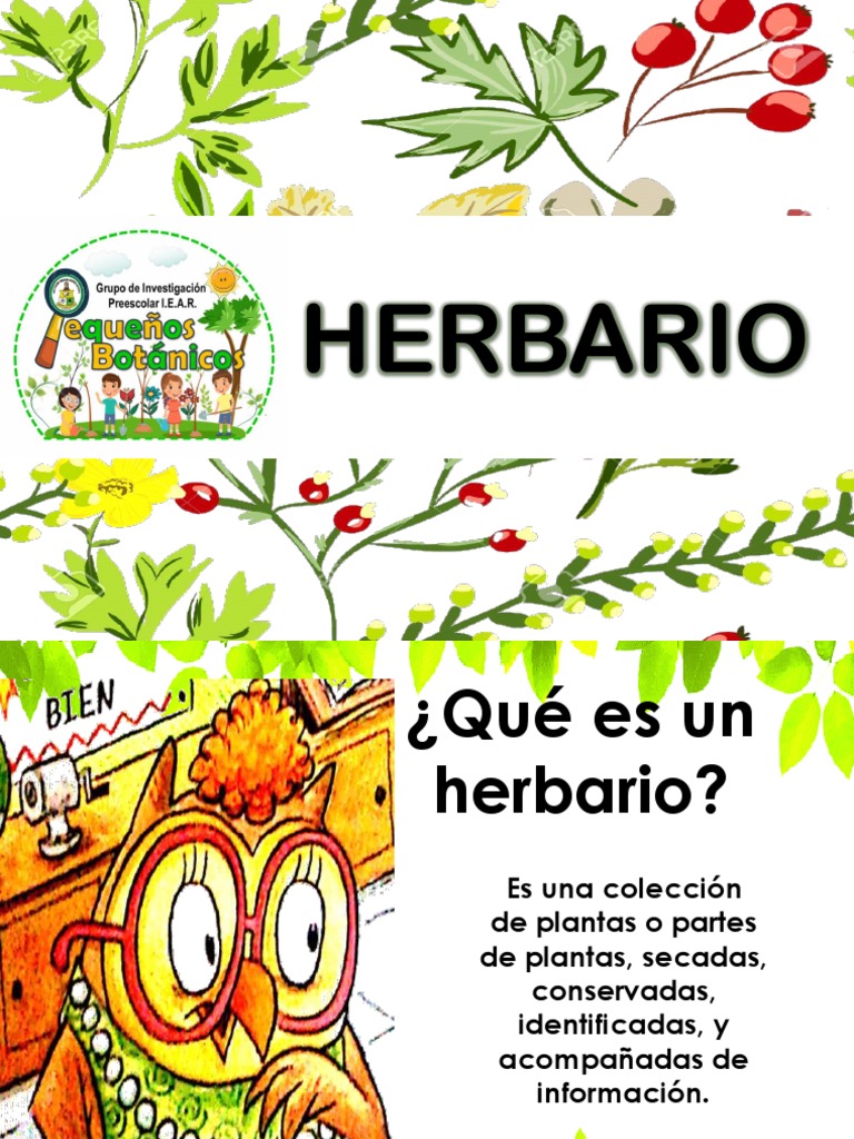 Material de Apoyo El Herbario | PDF