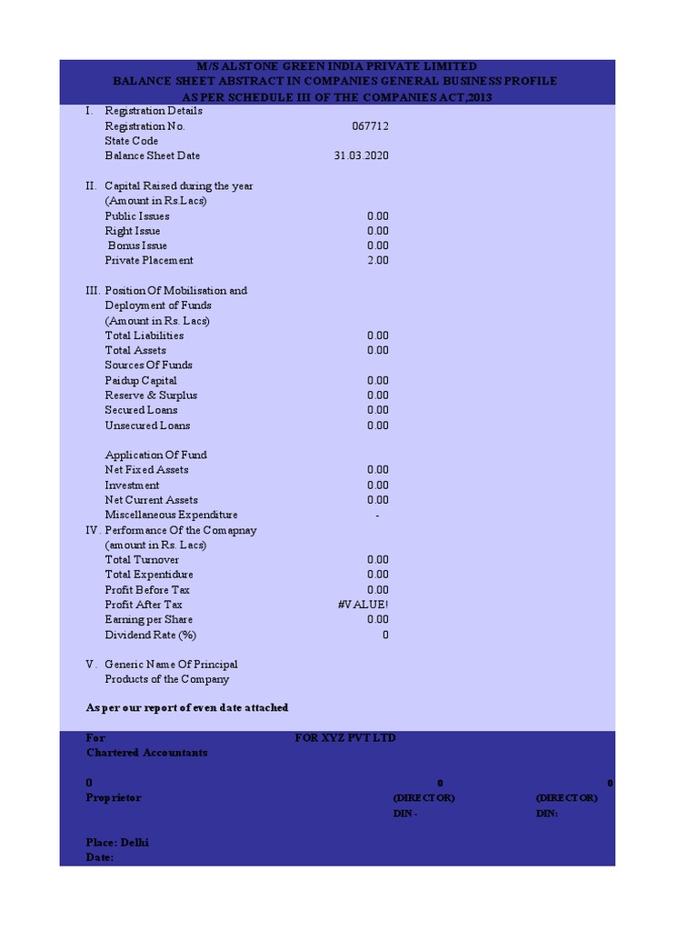 Schedule III Financial Statements | PDF | Equity (Finance) | Balance Sheet