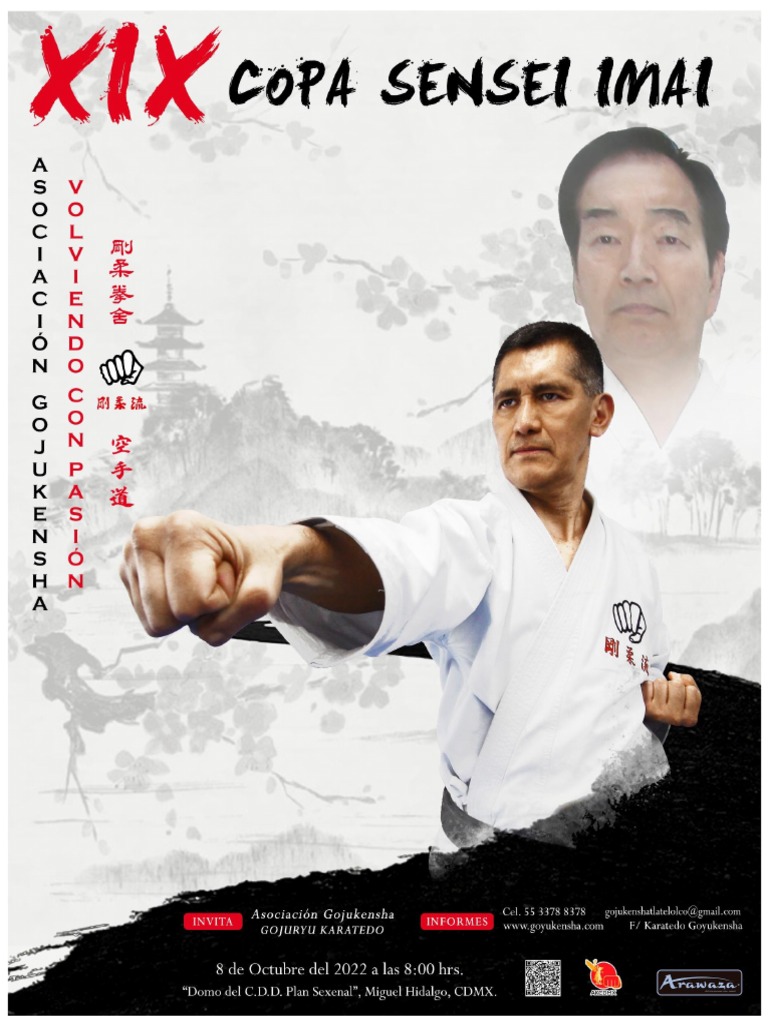 Convocatoria Xix Copa Sensei Imai | PDF | Kárate | Artes marciales ...