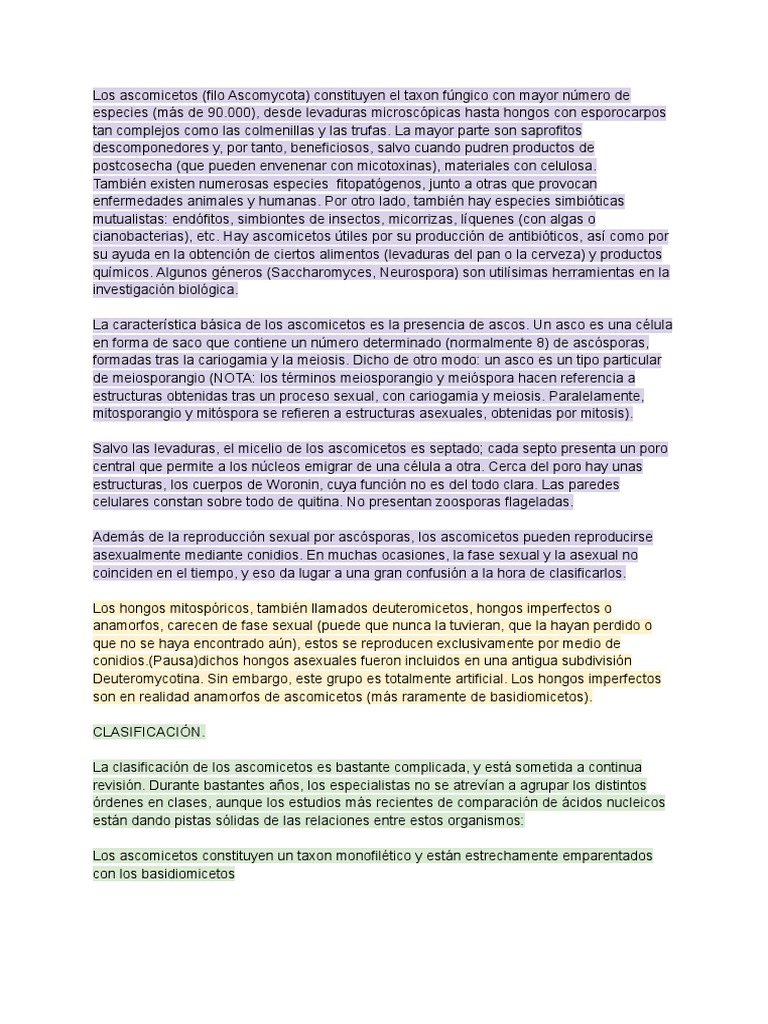 Los Ascomicetos (Filo Ascomycota) | PDF | Procesos biologicos | Hongo