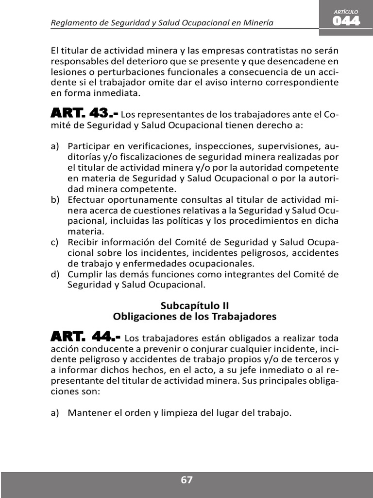 Obligaciones de Los Trabajadores - DS 024 y Su Modificatoria 023 | PDF | Seguridad y salud ...
