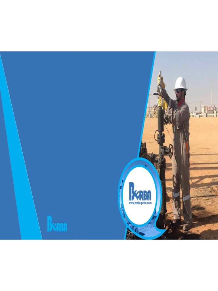 1. Berba Company profile (2) | PDF | Pump