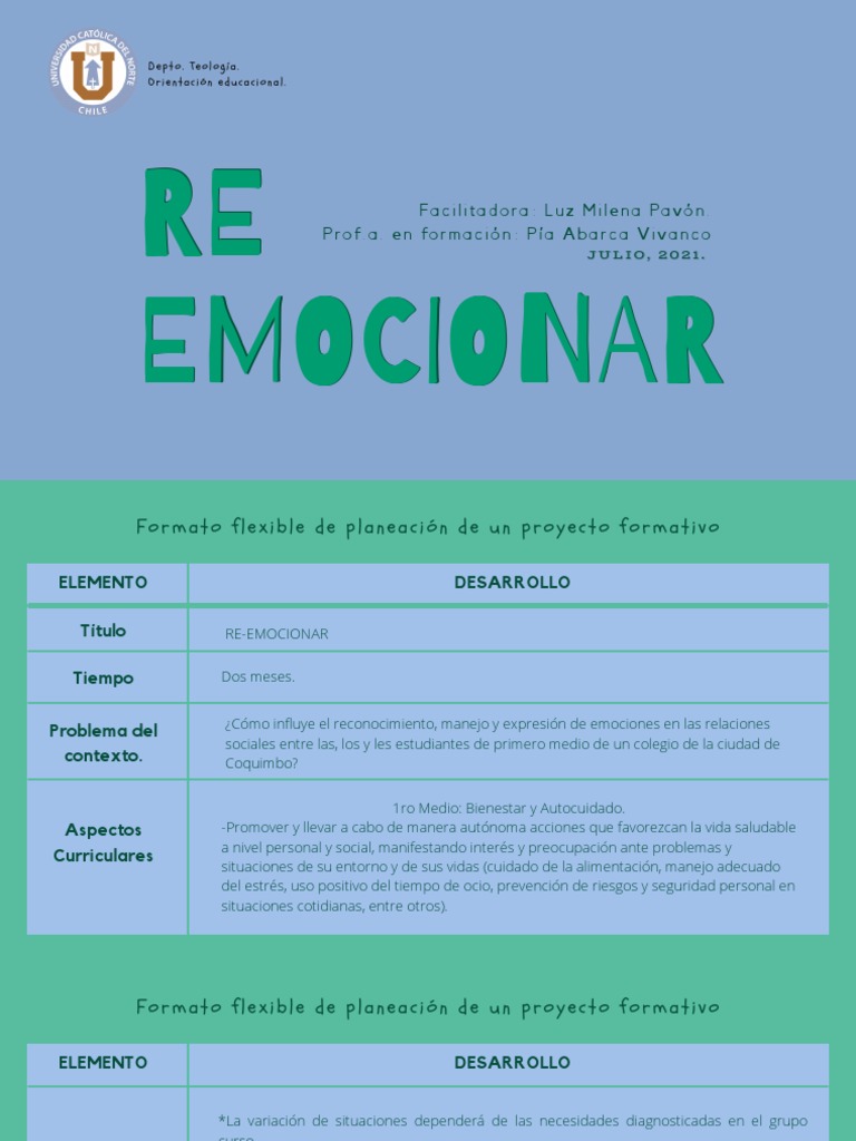 Re Emocionar | PDF | Las emociones | Planificación