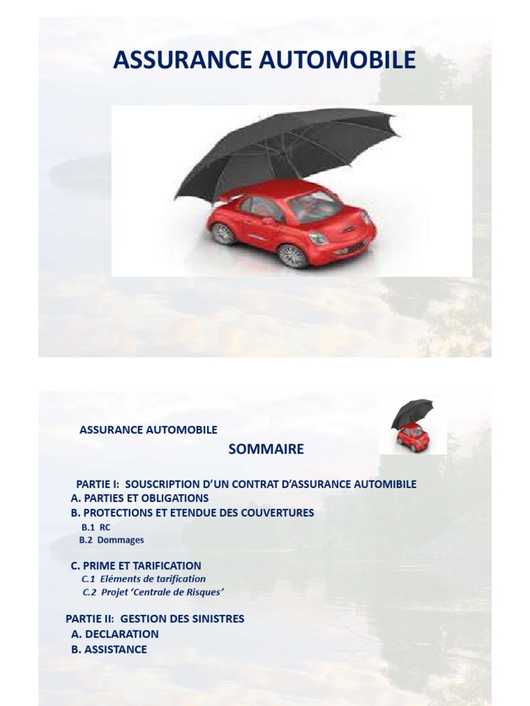 Assurance Automobile : Guide Complet | PDF | Assurance | Véhicules