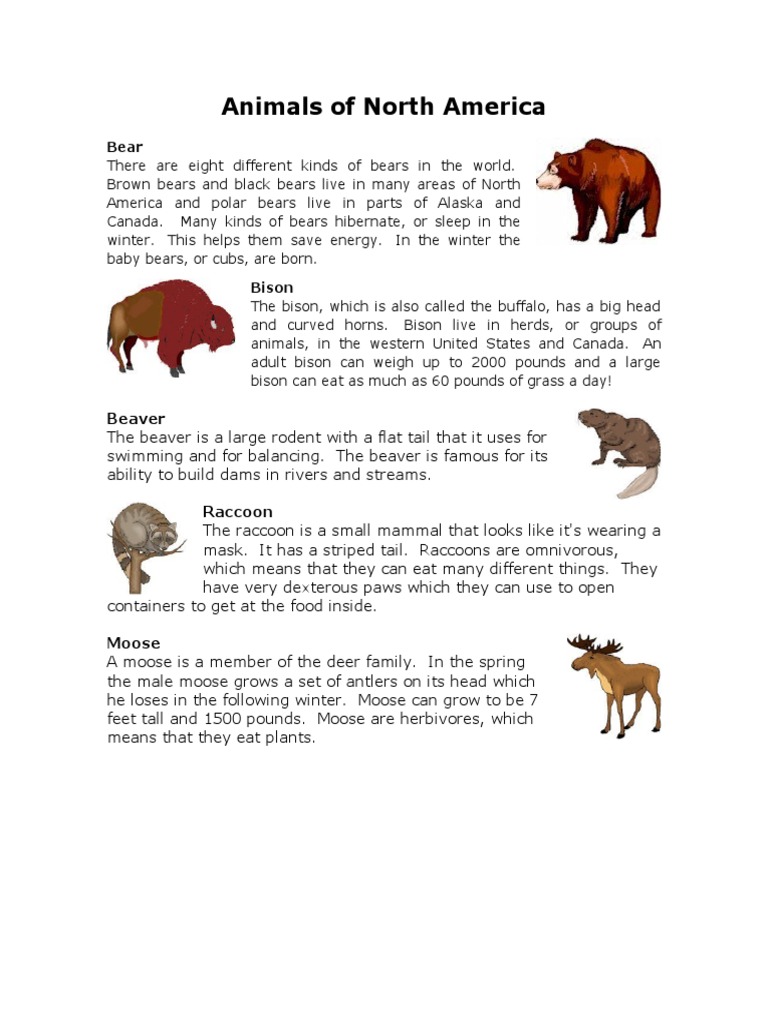 North American Wildlife Guide | PDF