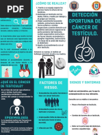 Tríptico de Cáncer de Próstata. | PDF | Cancer de prostata | Cáncer
