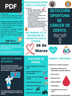 Tríptico de Cáncer de Próstata. | PDF | Cancer de prostata | Cáncer