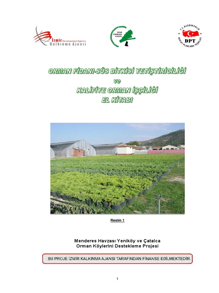 Fidan Yetistiriciligi | PDF