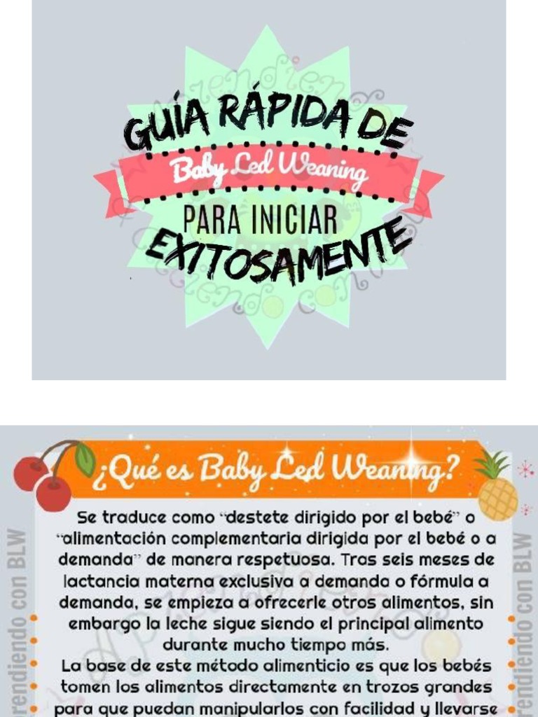 Guía BLW.pdf · versión 1 | PDF