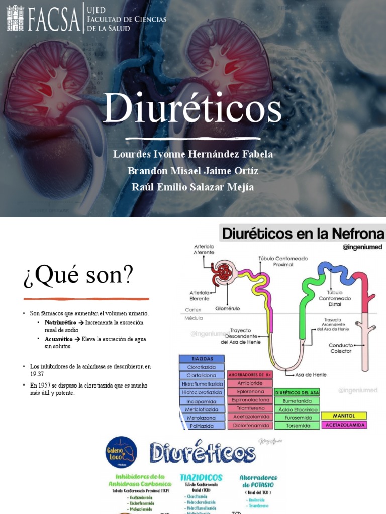 Diuréticos | PDF | Riñón | Sodio