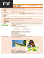 Matatag-ADORA Lesson-PLan-Science-4-Q2 | PDF | Butterfly | Pupa