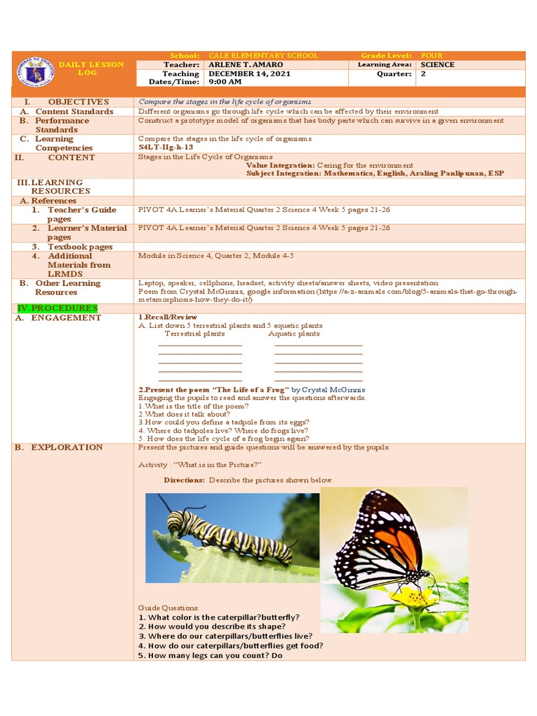 Arlene Amaro Science-4-Cot | PDF | Insects | Butterfly