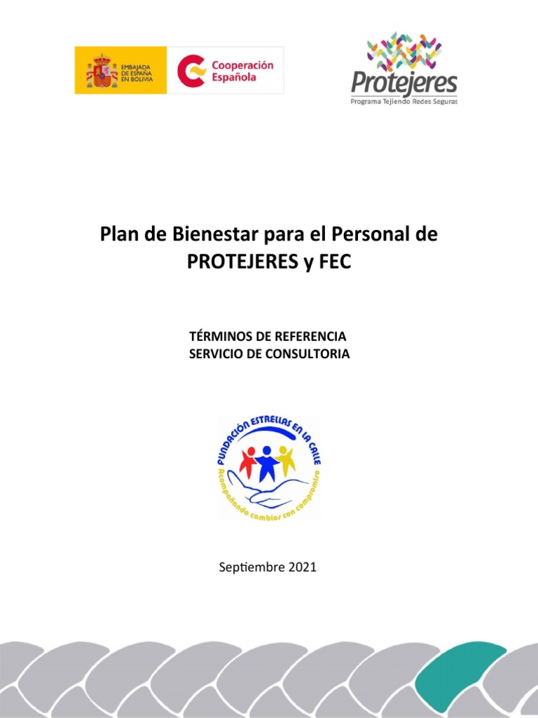 TDR Plan de Bienestar | PDF
