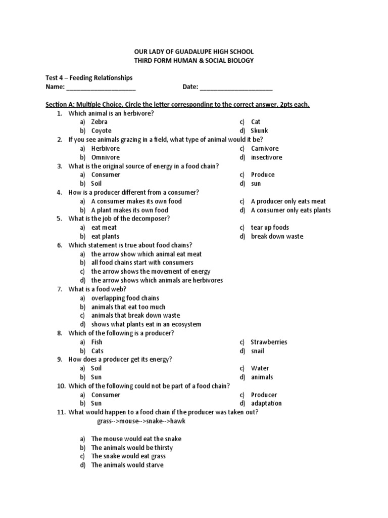 3rd HSB Test4 | PDF | Foods | Food And Drink