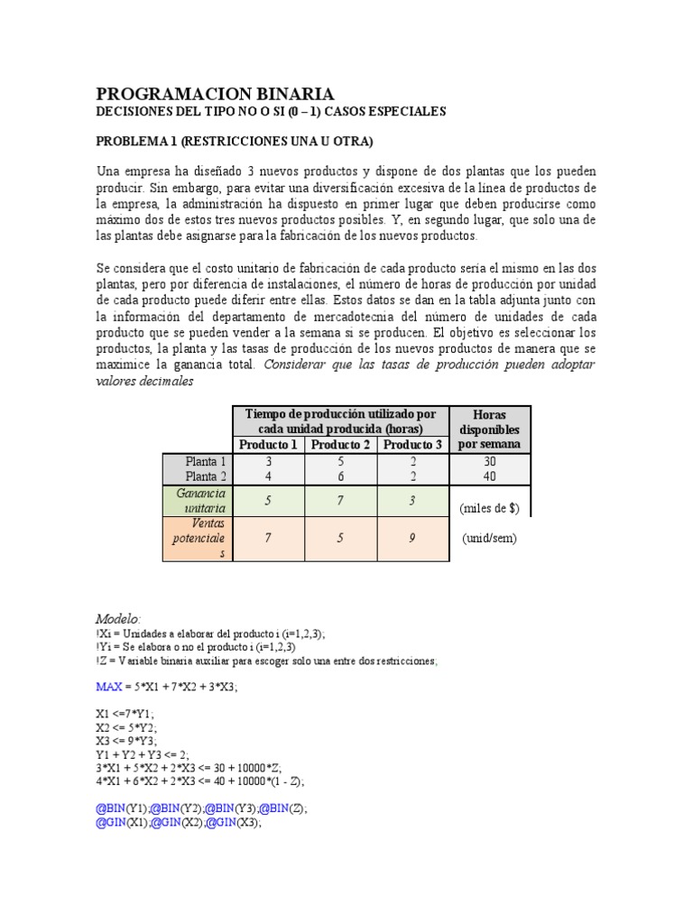 PROGRAMACION BINARIA (PROBLEMAS CASOS ESPECIALES) s22022 | PDF | Economias