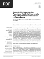 IBS Worksheet | PDF | Irritable Bowel Syndrome | Medical Diagnosis