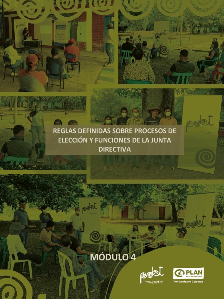 MÓDULO 4 Eleccion de Junta Directiva | PDF | Junta Directiva | Democracia