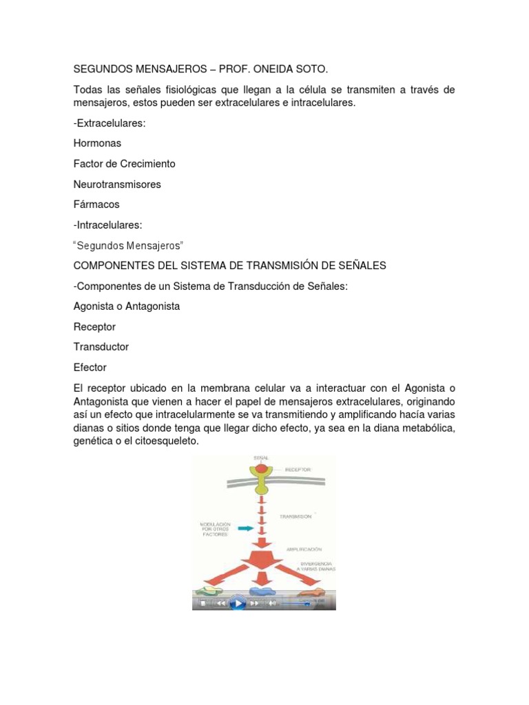 Tema 8 Segundos Mensajeros Pdf Receptor Bioquímica Transducción
