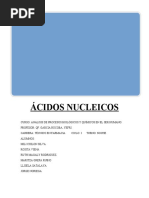 Ficha Siempre, A Veces, Nunca | PDF