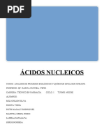Ficha Siempre, A Veces, Nunca | PDF