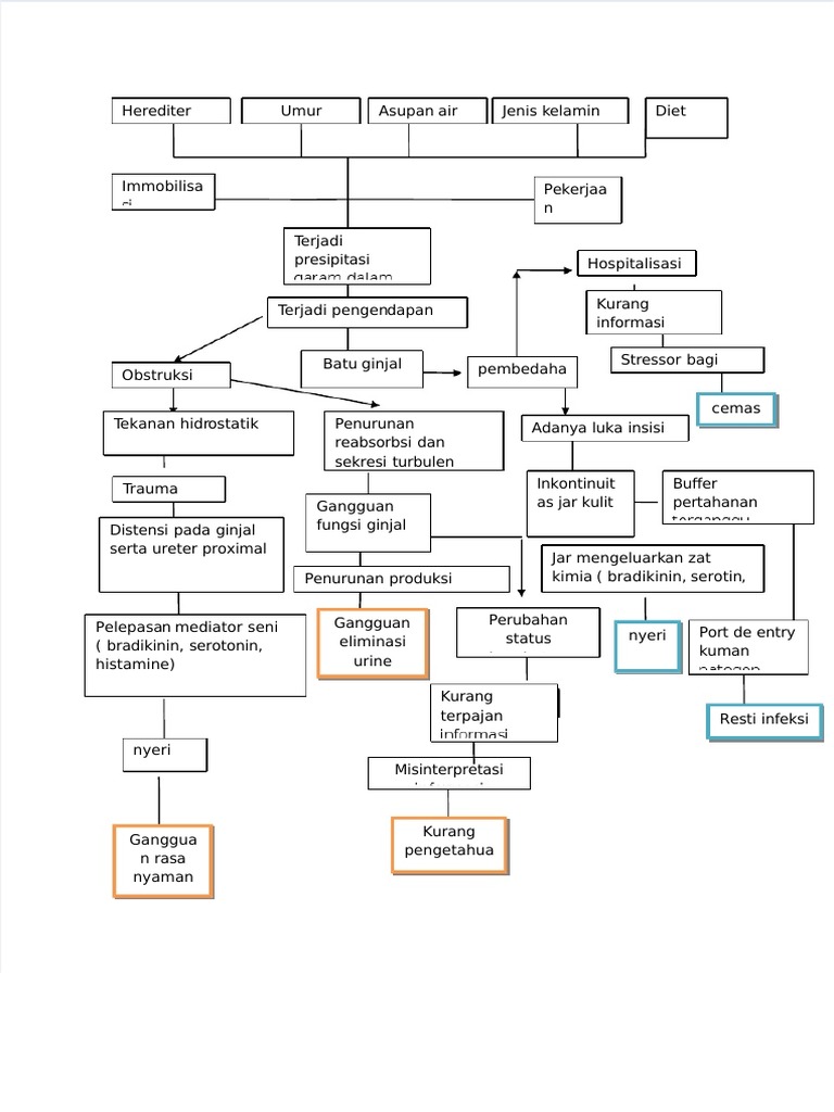 Pdfslide - Tips - Pathway Batu Ginjal 56d45d70734fc | PDF