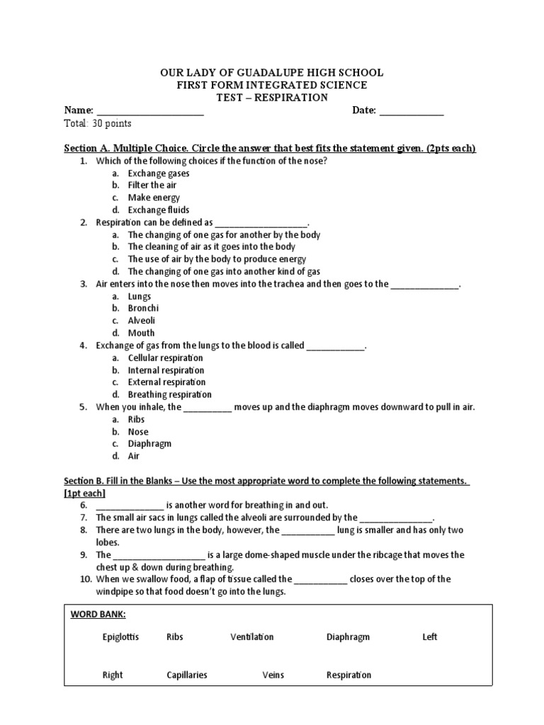 2ND Form Respiration Test | PDF | Respiratory System | Lung