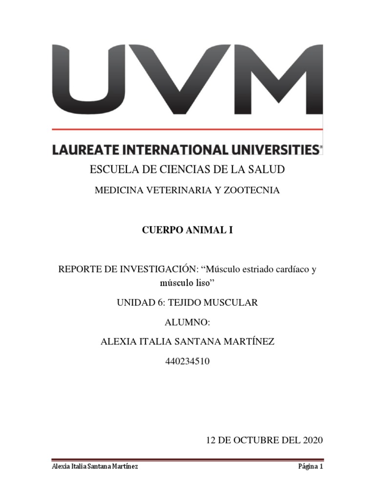 Músculo Estriado Cardíaco y Liso | PDF | Músculo esquelético ...