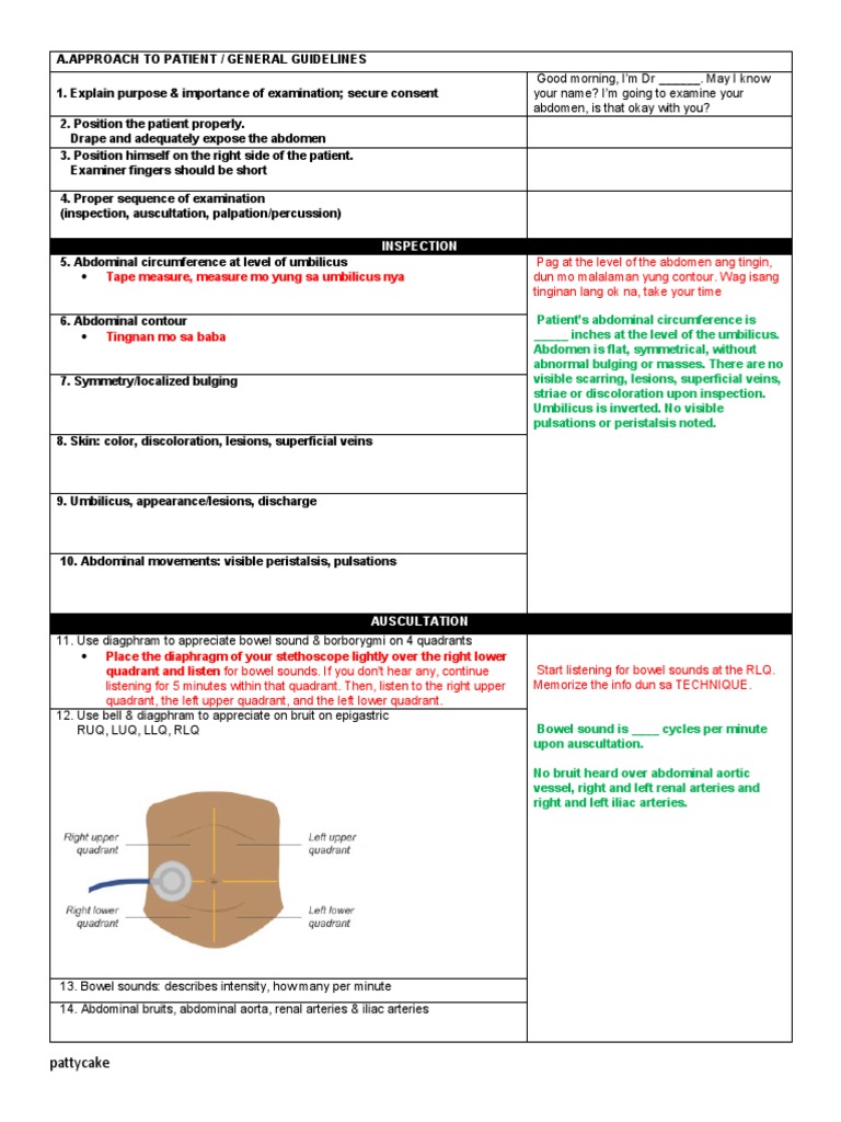 Abdomen | Download Free PDF | Pulse | Abdomen