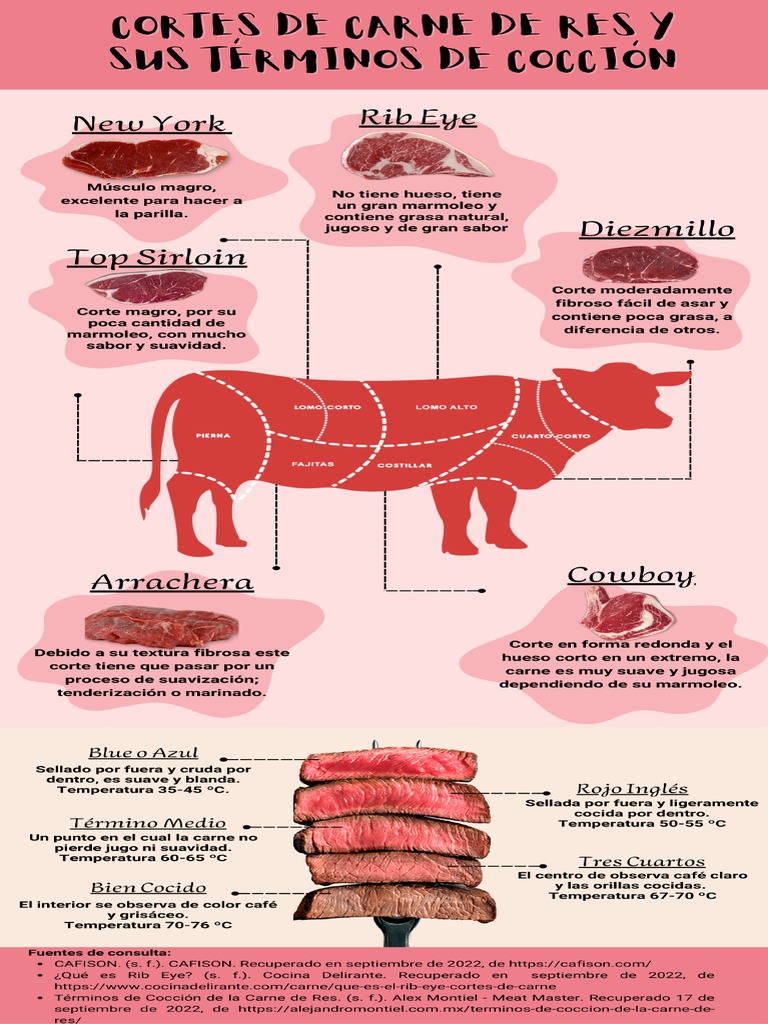 Infografía - Carne de Res | PDF